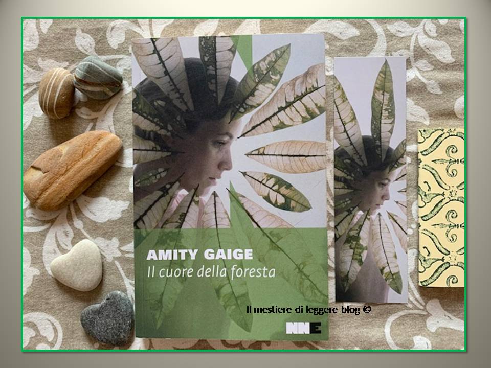 Amity Gaige, Il cuore della foresta – Il mestiere di leggere. Blog di ...